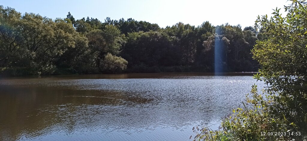 Plaj Beach, Gomelskaya oblastı, foto