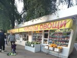 Фрукты овощи (Voronezh, Minskaya ulitsa), manavlar  Voronej'den