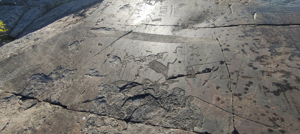 Turistik yerler Petroglyphs, Karelya, foto