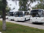 ИП Кондратьев Д. С. (Komarova Street No:38), otobüs taşımacılığı  Ufa'dan