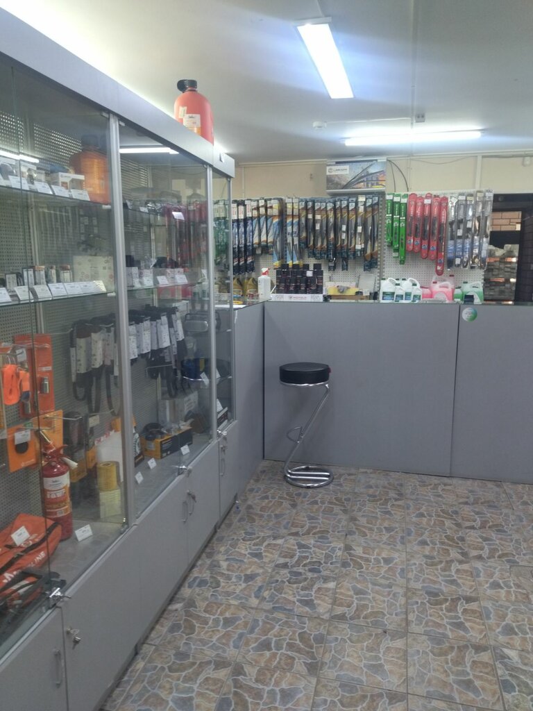 Otomobil yedek parçaları Ixora, Vyksa, foto