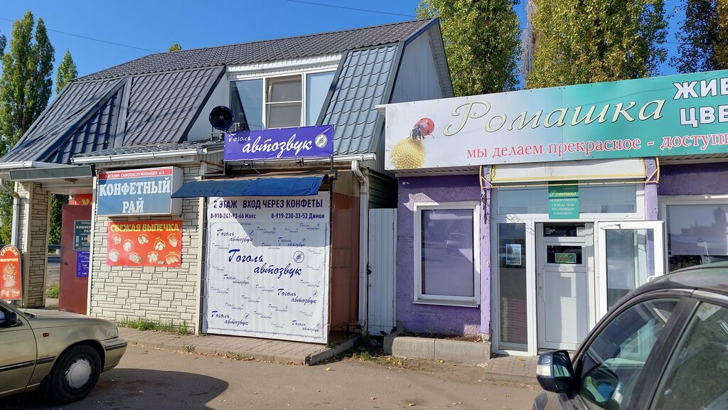 Oto ses sistemleri Гоголь Автозвук, Voronejskaya oblastı, foto