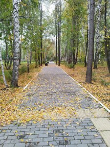 Pobedy Park (Sverdlovsk Region, Revda, Pobedy Park), kültür ve eğlence parkları  Revda'dan
