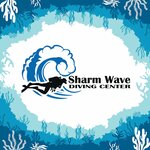 Sharm Wave (South Sinai Governorate, Sharm El Sheikh), dalış kulüpleri ve eğitim merkezleri  Şarm El‑Şeyh'ten