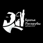 Bratiya_lesoruby (Talsinskaya ulitsa No:7), endüstriyel dağcılık  Şçolkovo'dan