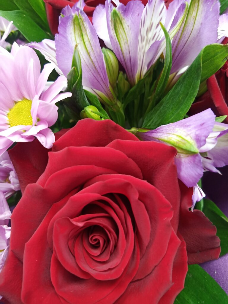 Çiçekçiler Магазин цветов, Okulovka, foto