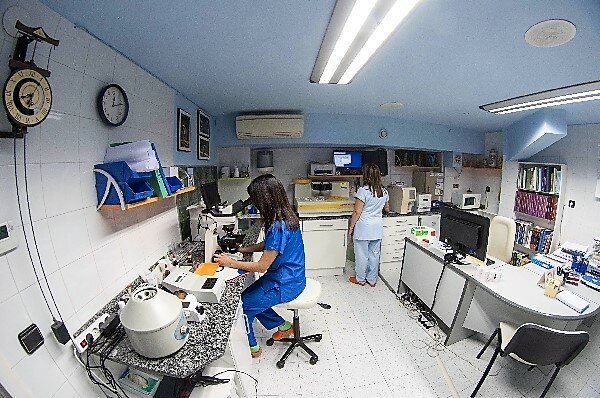 Veteriner klinikleri Hospital Veterinario Vetersalud Asís, Logrono, foto