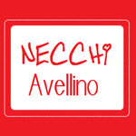 Barone Teresa Macchine Per Cucire (Campania, Avellino, Via Giuseppe Verdi, 21), sanayi ekipmanları firmaları  Campania'dan