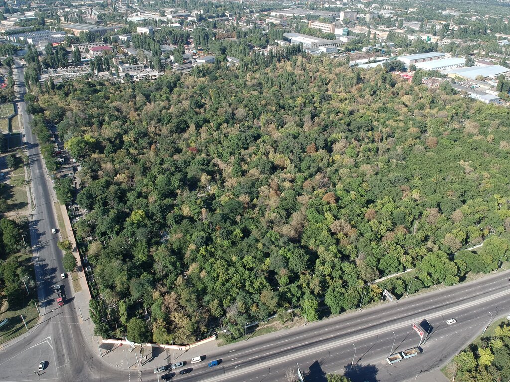 Mezarlıklar The third Jewish cemetery, Odesa, foto