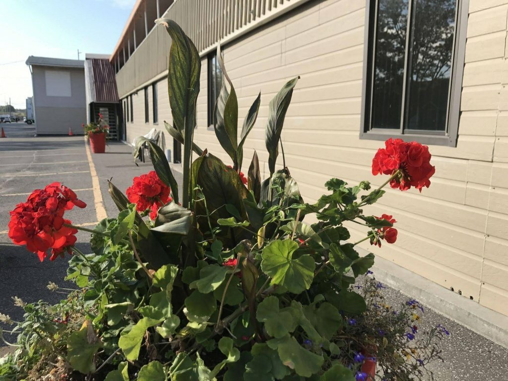 Otel Motel Bellefeuille, Trois‑Rivières, foto