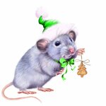 Rodent's dream (Tsentralnaya Street No:88), evcil hayvan yetiştiricileri  Krasnogorsk'tan