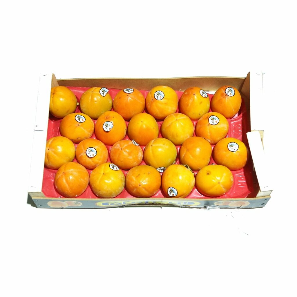 Market Nrtc Group, Dubai, foto