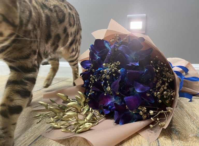 Çiçek teslimatı Flowers by Insomnia, Moskova, foto