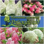 Garden of Paradise (Круговая улица No:11, ДНТ Мечта), sera ve bahçe ürünleri  İrkutskaya oblastından