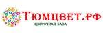 Тюмцвет (Timurovtsev Street No:39, mikrorayon Parfyonovo), çiçekçiler  Tiumen'den