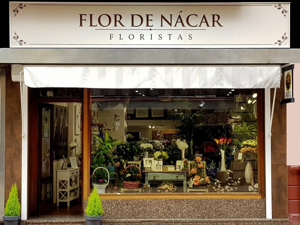 Yapay bitki ve çiçek Flor de Nácar Floristas, Cuenca, foto