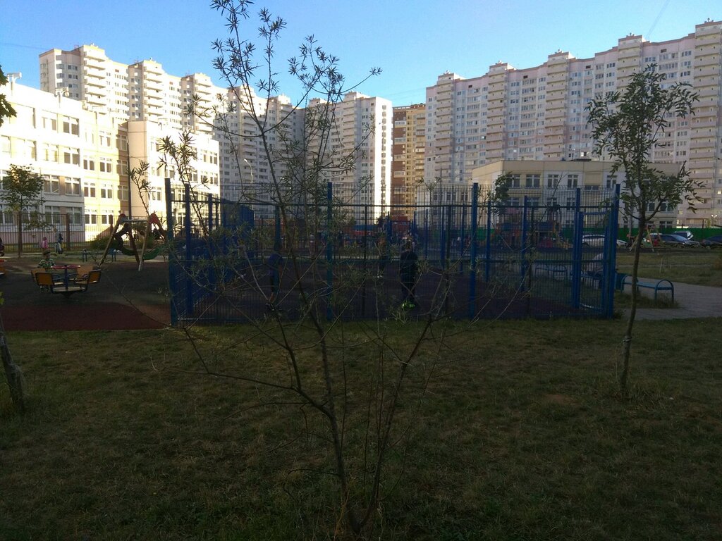 Spor alanı Sports ground, Moskova, foto