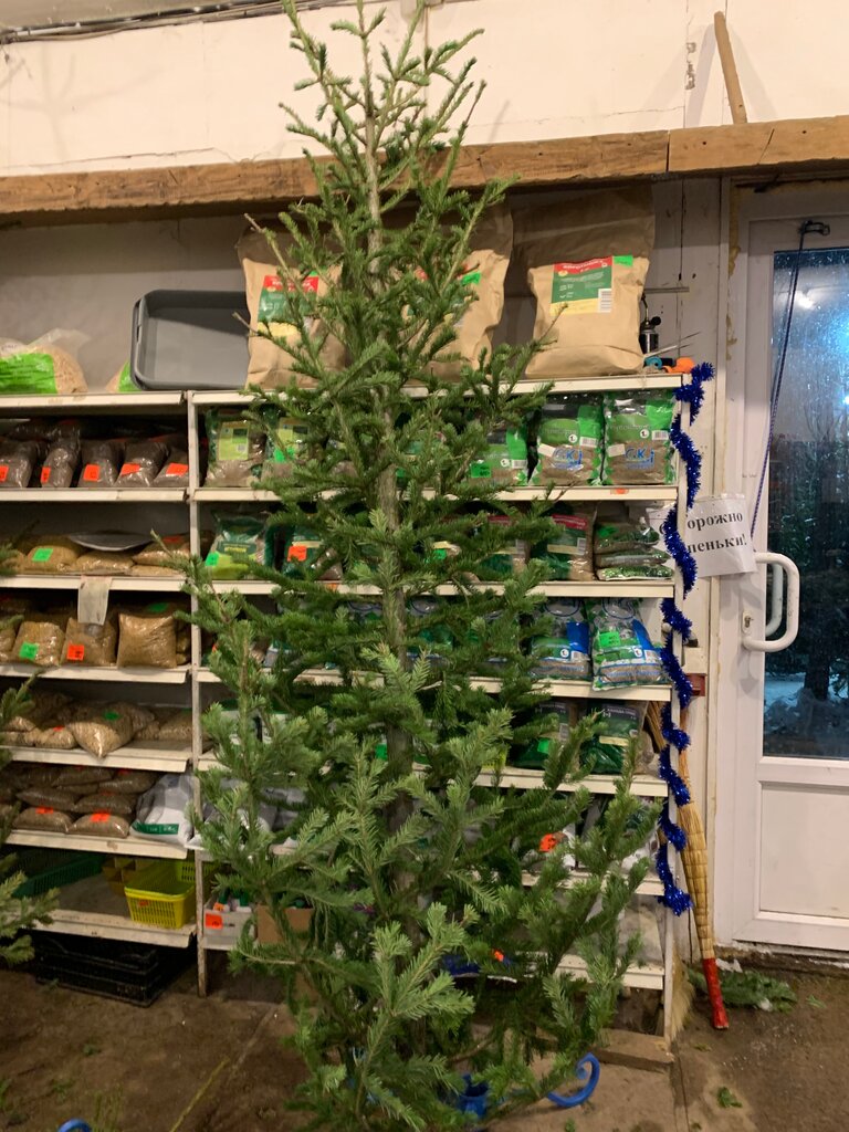 Bahçecilik mağazaları Green Papa, Ufa, foto