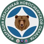 Федерация Кёкусинкай Новосибирской области (Severnaya ulitsa No:31/1), spor kurumları  Novosibirsk'ten