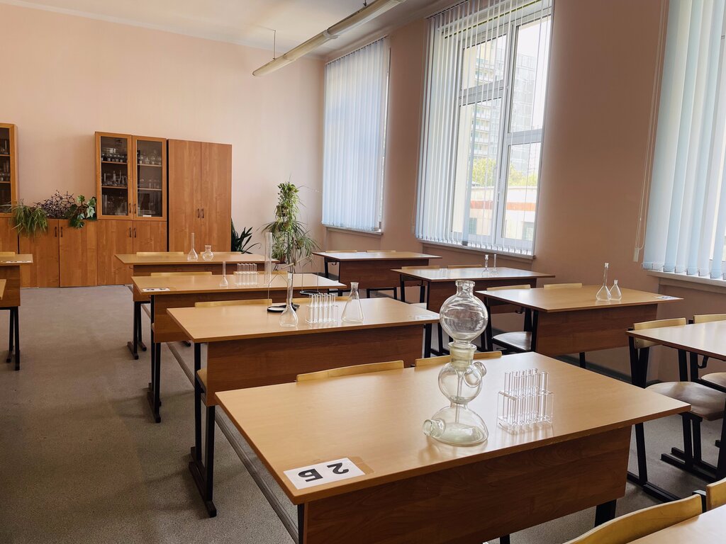 Ortaokul Sbei School № 657, Moskova, foto