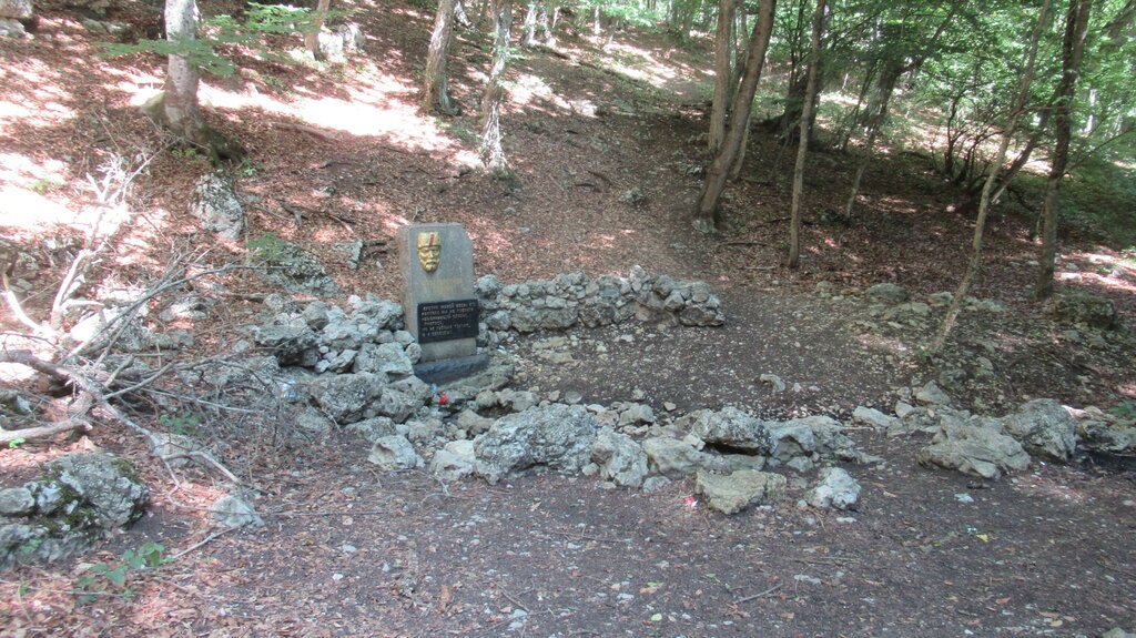 Pınar, çay Родник Партизанский, Kırım Cumhuriyeti, foto