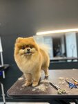 Animal Grooming (Malinovskogo Street No:78В), evcil hayvan kuaförleri  Rostov‑na‑Donu'dan
