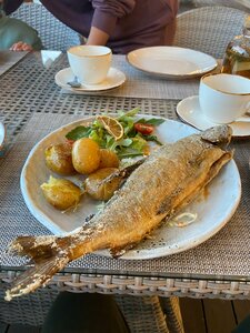 Taiga&Ozero (Teletskaya ulitsa No:20Д, selo Artybash), restoran  Altay Cumhuriyeti'nden