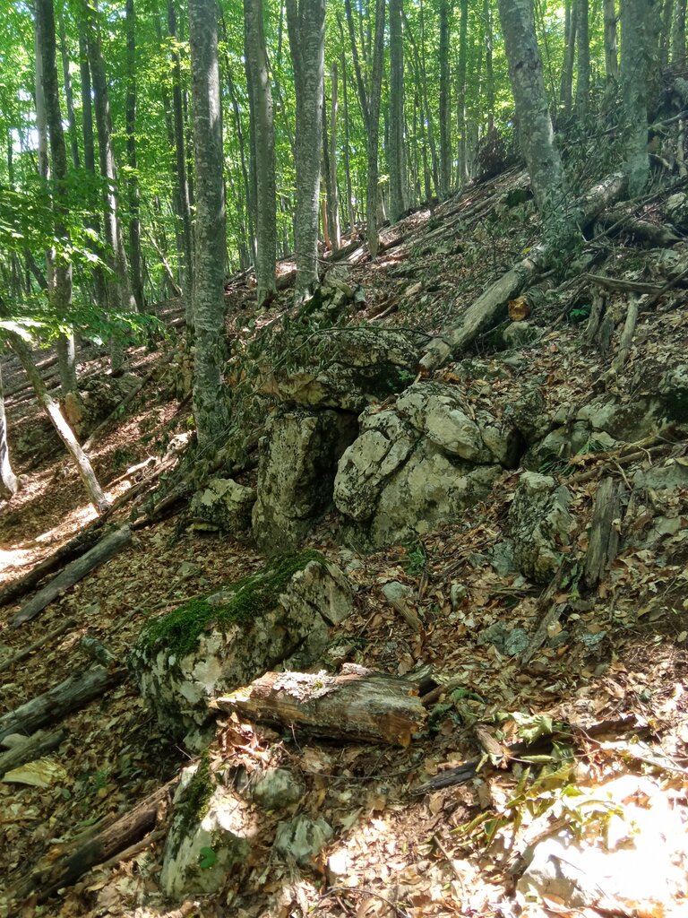 Dağ zirvesi Гора Топшанар 972 метра, Kırım Cumhuriyeti, foto