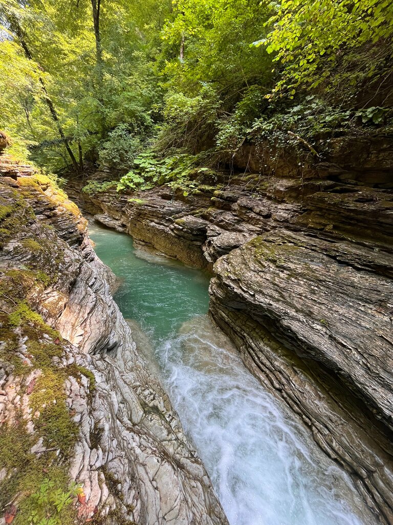 Doğa koruma alanı Bukepka River Gorge, Krasnodarski krayı, foto