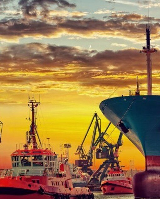 Market Mih food stuff trading LLC, Dubai, foto