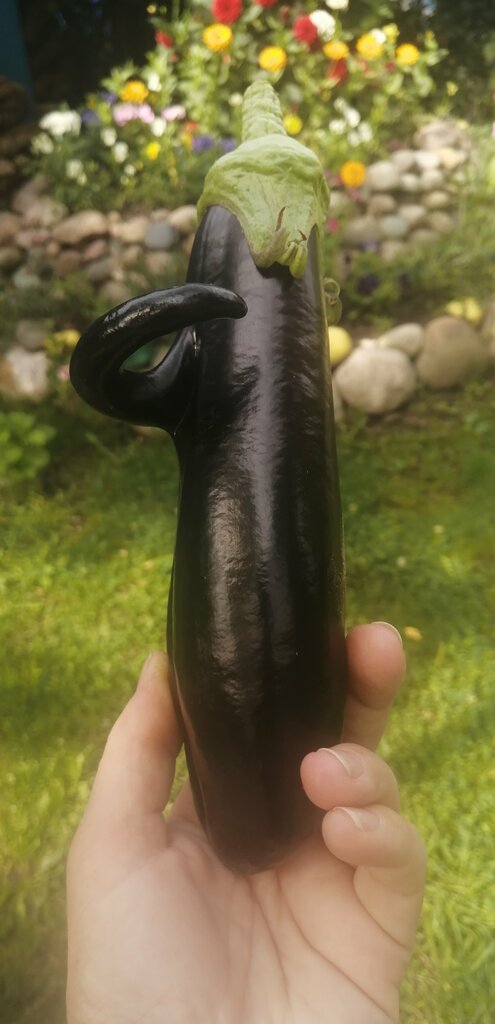 Bahçecilik dernekleri ve kuruluşları Sadovodcheskoye tovarishchestvo Yubileynoye, Minskaya oblastı, foto