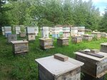 Пасека Дмитрия Молчанова (Sosnovaya ulitsa No:60, derevnya Sergovo), bal ve arıcılık firmaları  Moskova ve Moskovskaya oblastından