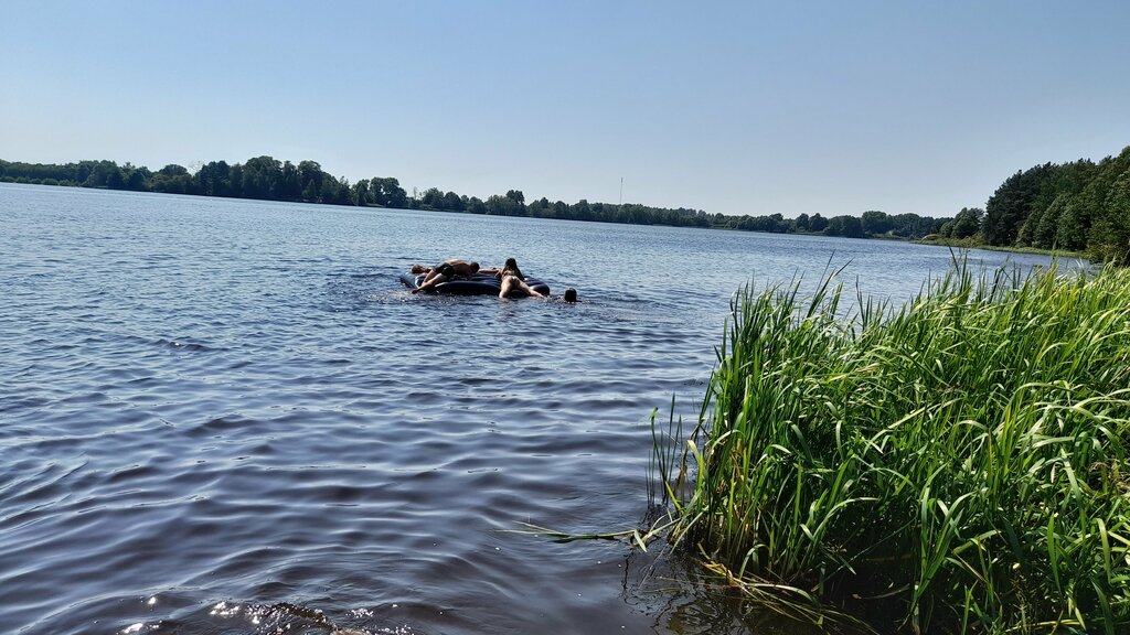 Plaj Пляж, Brianskaya oblastı, foto