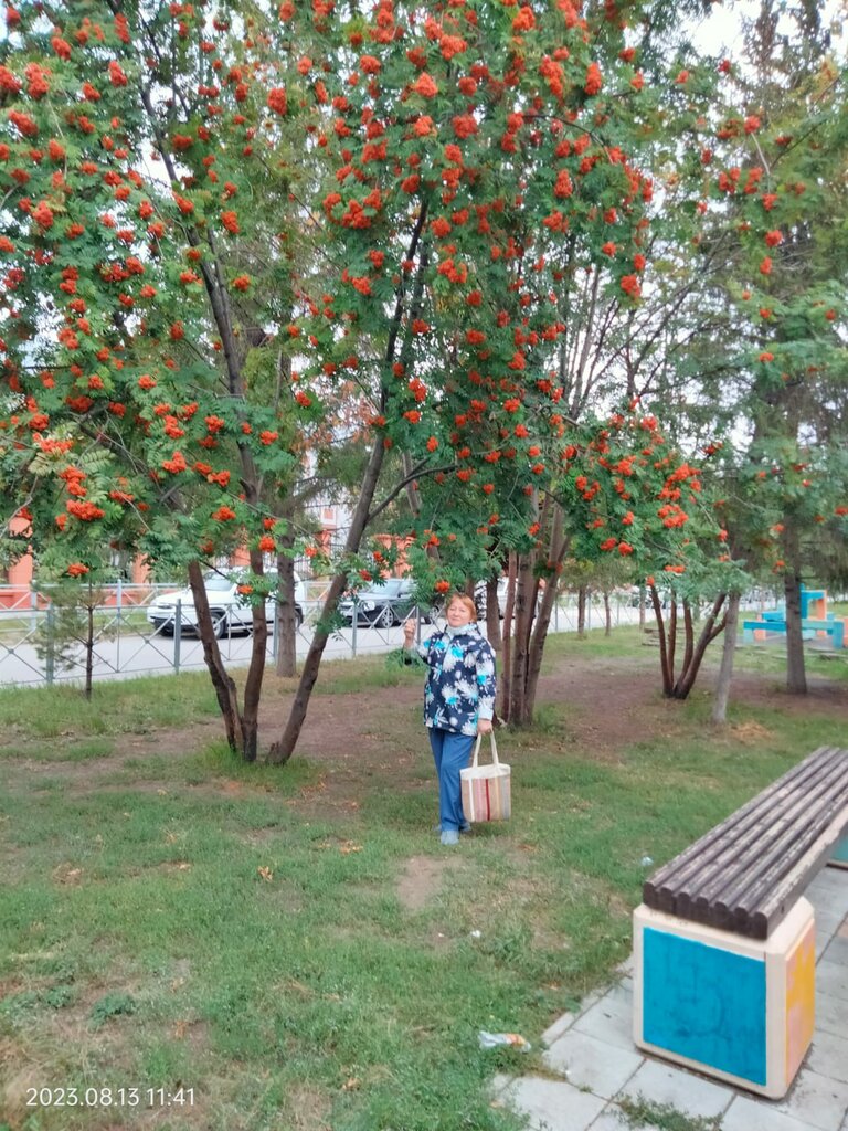 Kültür ve eğlence parkları Аллея нефтяников, Omsk, foto