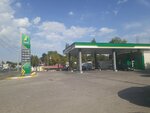 Bishkek Petroleum (Sovet Street No:138А, Sokuluk Village), benzin istasyonu  Çuy ili'nden