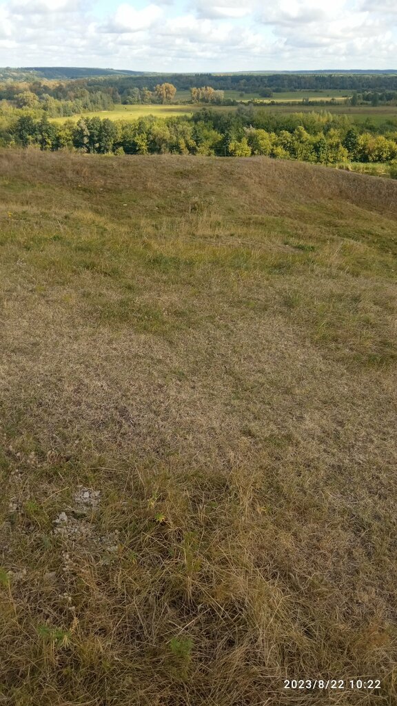 Seyir terası Смотровая площадка, Saratovskaya oblastı, foto