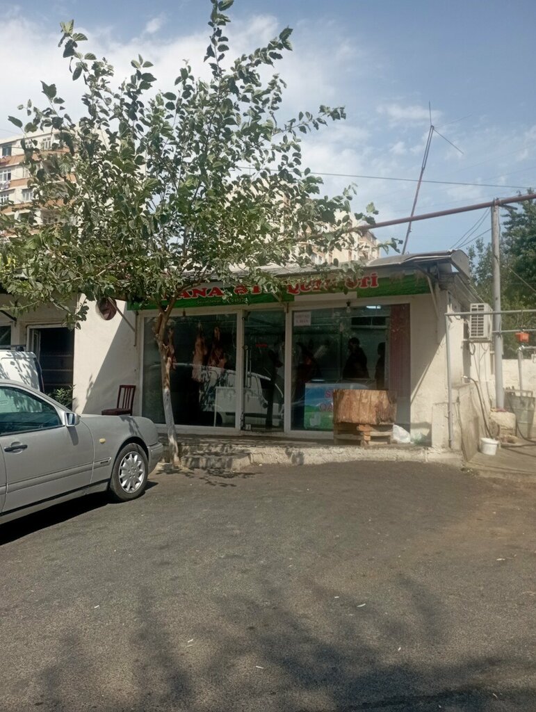 Kasap, şarküteri Butcher, Bakü, foto