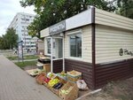 Produkty (Tashkentskaya Street No:212А), market  Samara'dan
