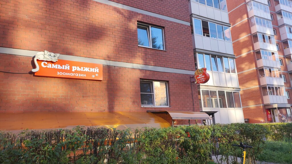 Petshop Самый рыжий, Irkutsk, foto