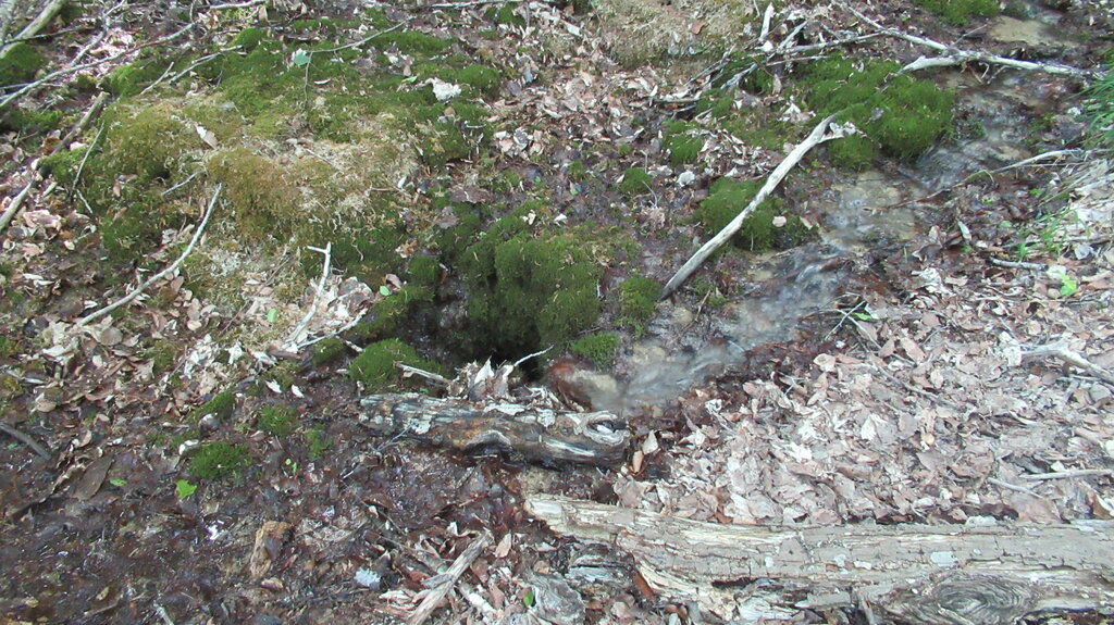 Pınar, çay Spring, stream, Kırım Cumhuriyeti, foto