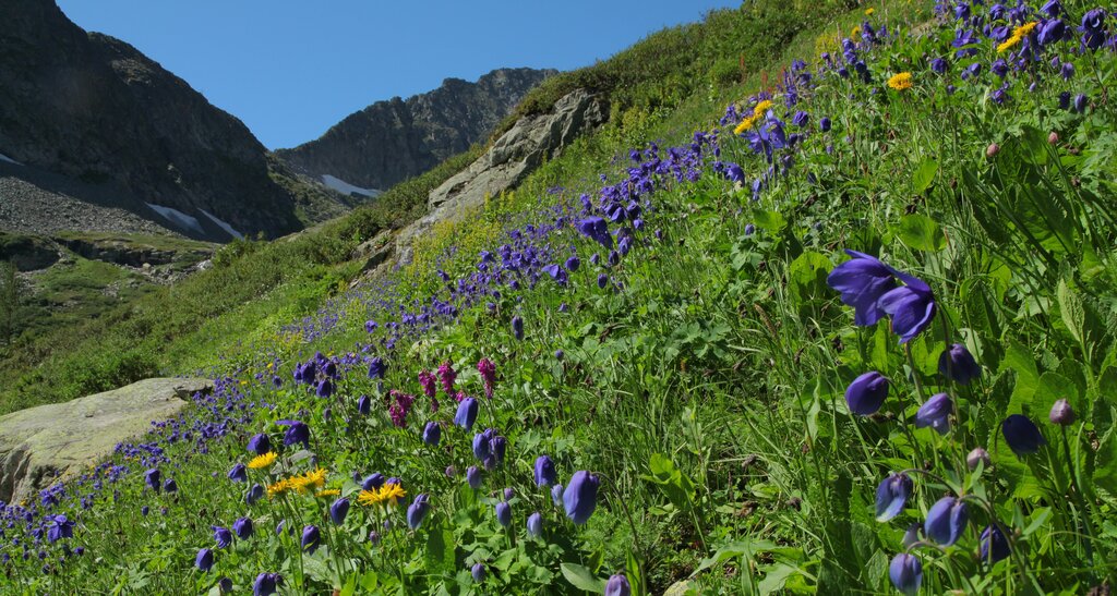 Dağ geçidi Перевал Козьи ворота, Hakasya, foto