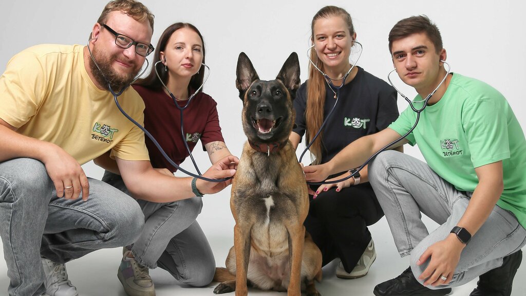 Veteriner klinikleri Kot Begemot, Minsk, foto