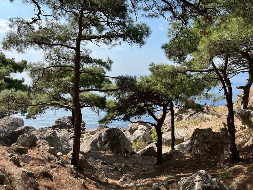 Doğa Урочище Аязьма, Sevastopol, foto