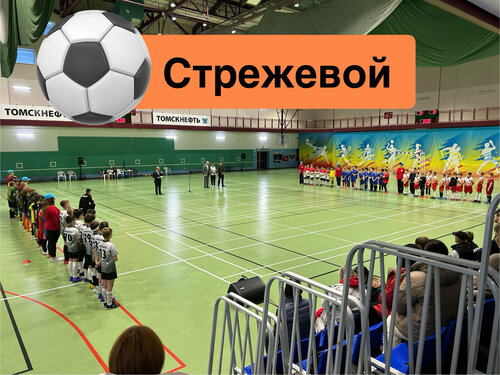 Çok amaçlı spor tesisleri СОК Нефтяник, Strejevoy, foto