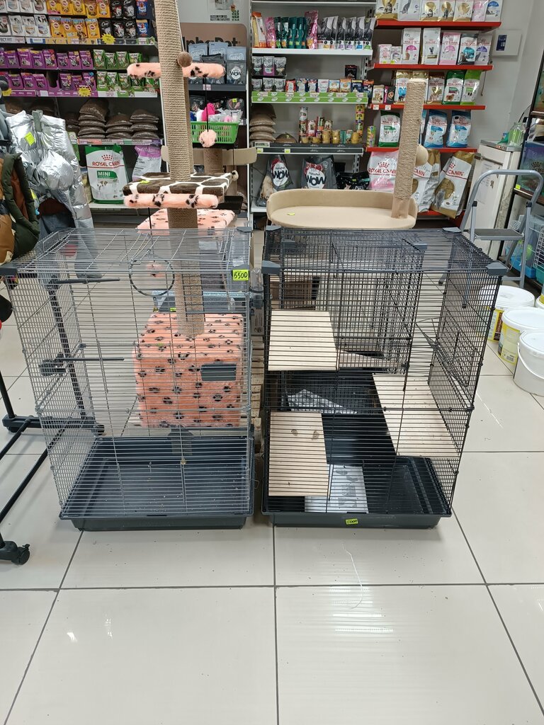 Petshop Зверье моё, Krasnoyarski krayı, foto
