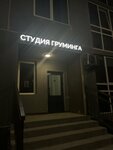 White groom (Cherkesskaya ulitsa No:3, derevnya Ankudinovka), evcil hayvan kuaförleri  Nijegorodskaya oblastından