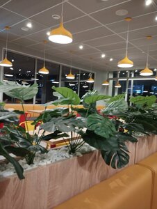 Skoro Pizza (Kommunisticheskiy prospekt No:29, Kurchatov), pizzacılar  Kurçatov'dan