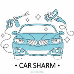Car Sharm Detailing (Antonova-Ovseyenko Street No:26), otomatik teşhis  Voronej'den
