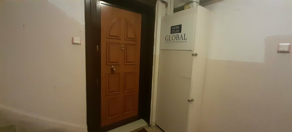 Danışmanlık hizmetleri Work Study Global, İstanbul, foto