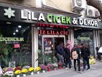 Lila Çiçekçilik (Aydınbaba Mah., Özdemirbey Cad., No:7A, Şahinbey, Gaziantep), çiçekçiler  Gaziantep'ten